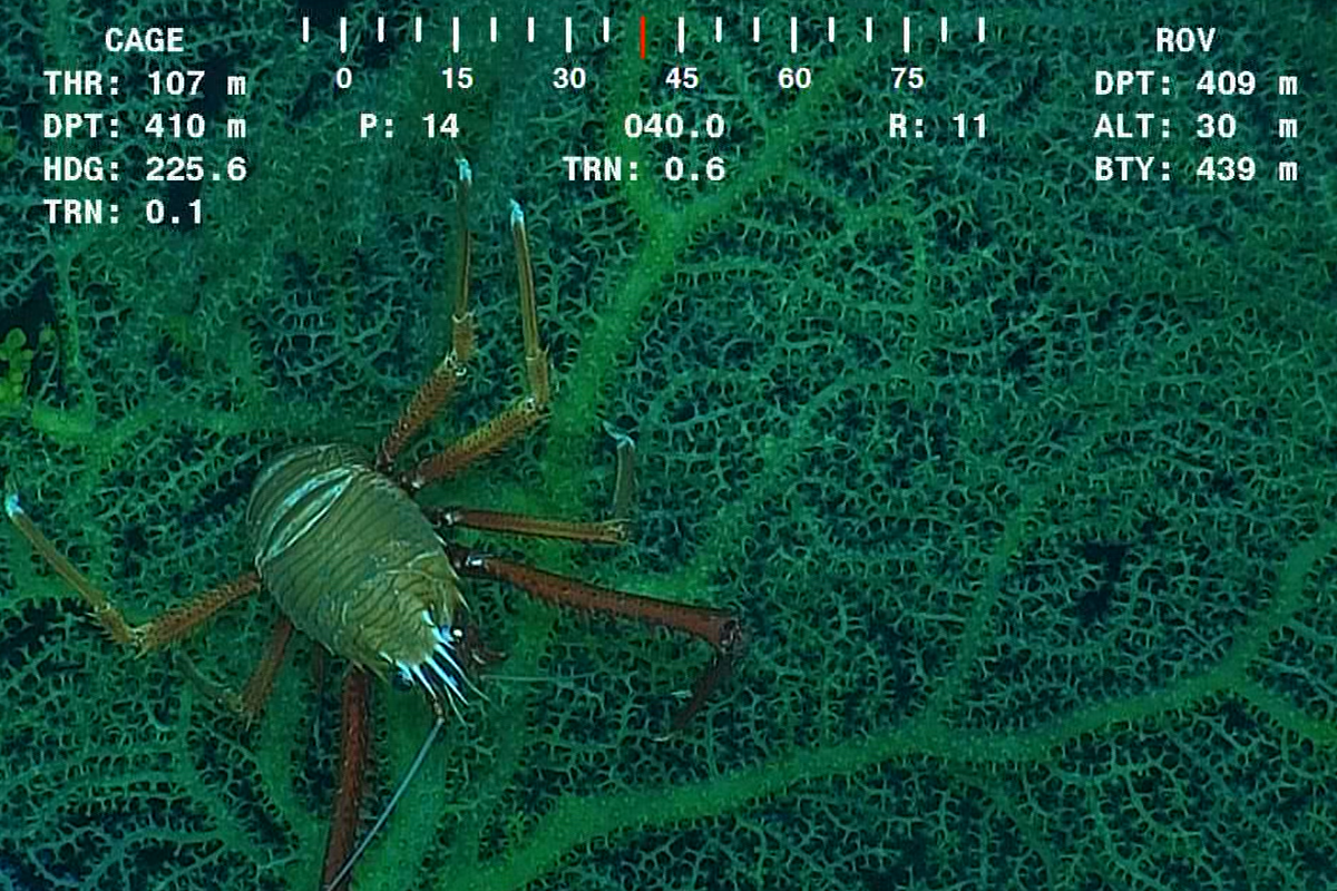 Applied Genomics | Home