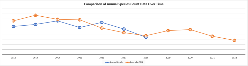 Marine Biodiversity Monitoring: Insights from a 12-Year eDNA Time-Series